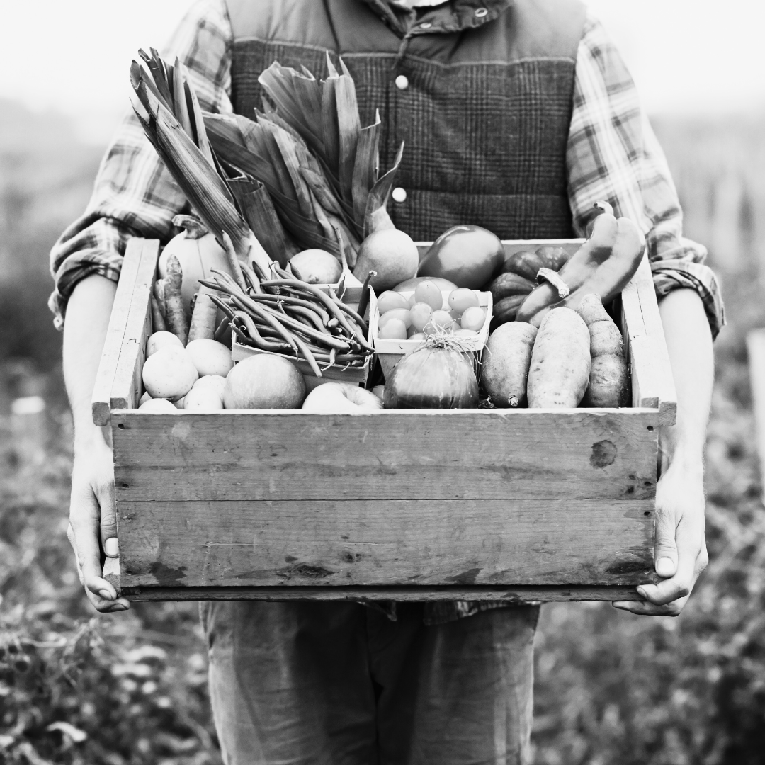 Emerging Food & Beverage Trends: Insights from Industry Leaders - Opus ...